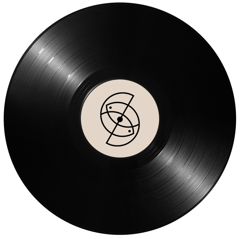 Seabass Vinyl | Our Vinyl Pressing Prices